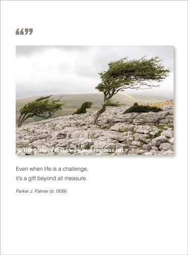 Greeting Cards - The Borealis Press, Inc.